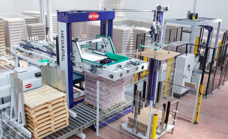 Palletizing and Depalletizing Systems Palletizing and Depalletizing Systems